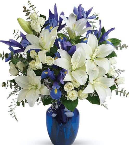 10 Blue Flowers You will Fall in love with - Flower Kingdom - Palm ...